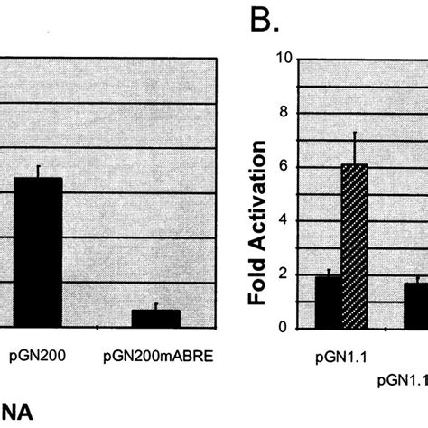 Pdf The Seed Specific Transactivator Abi3 Induces Oleosin Gene