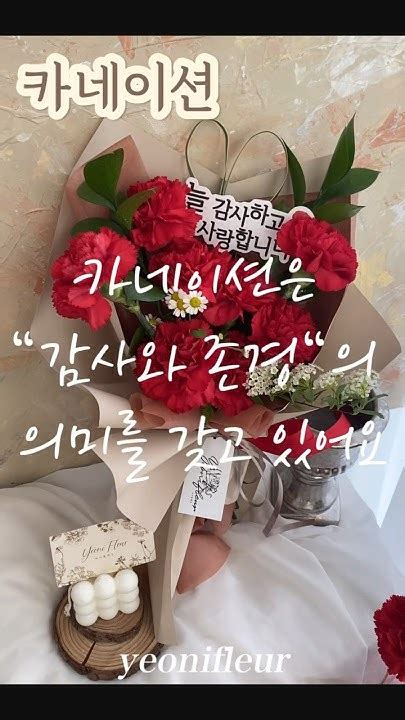 오늘의 꽃소개 카네이션 꽃말 어버이날 스승의날 Youtube