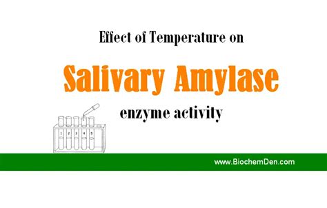 Effect Of Temperature On Amylase Activity Enzymology Protocol