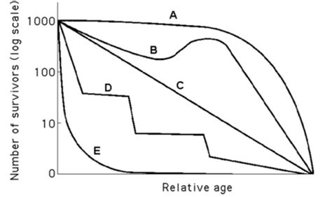 Bio201 Ecology And Evolution Final Exam 1 Review Questions Flashcards Quizlet
