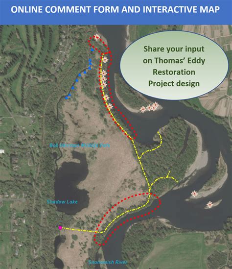 Thomas Eddy Restoration Project Snohomish County Wa Official Website