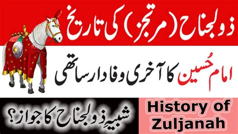History Of Zuljanah Zuljinnah Ki Tareekh Shabih E Zuljinah Ka Jawaz