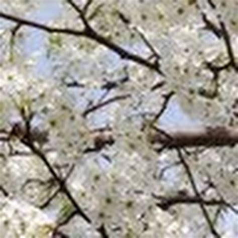 Kate Marlowe Youtube