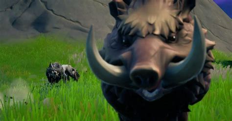 Que Signifie Monté Dans Fortnite Tech Tribune France