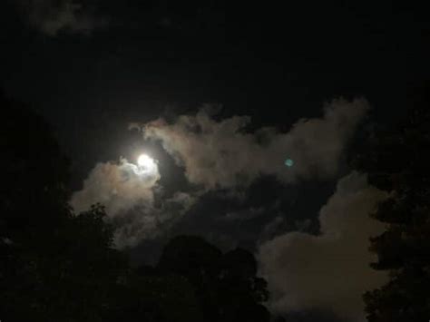 Feature Poet Eileen Chong