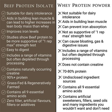 Grass Fed Beef Protein Raw Cacao And Maple Sea Salt Ape Nutrition Ltd