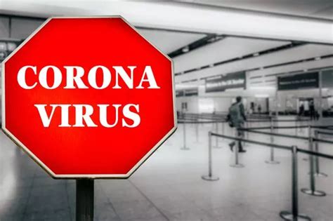 Coronavirus interactive world map shows up to date information on ...