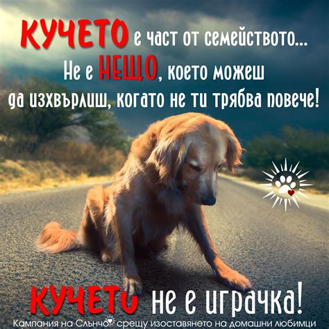 Слънчо Обичкам Те Сайт за Любовта Любовни мисли Любовни статуси