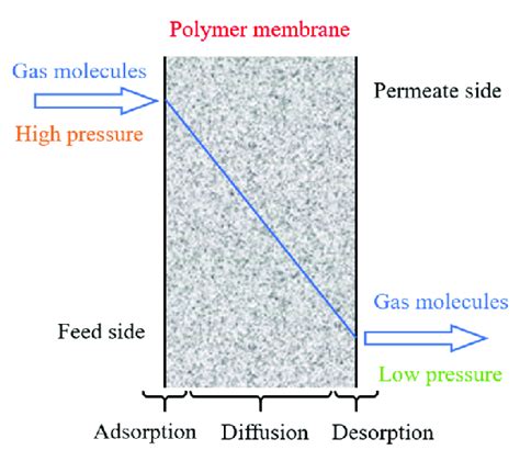 A Schematic Diagram Of The Solution Diffusion Process Download Scientific Diagram