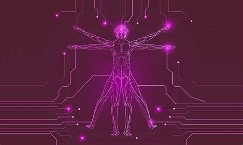 The Body Electric Nautilus