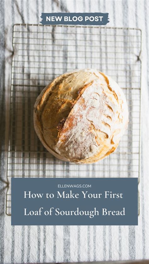 My First Sourdough Loaf Recipe Sourdough Bread Homemade Sourdough