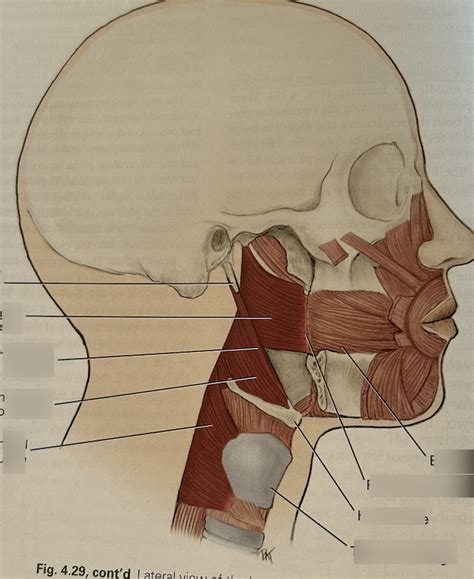 Chapter 4 Diagram Diagram Quizlet