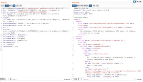 Portswİgger Sql Injection Lab Çözümleri Part 3 Cyber Security Blog