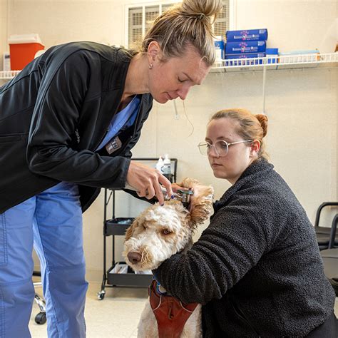 United Veterinary Care Culture National Veterinary Group