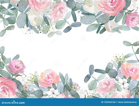 矩形粉红色花卉背景 彩绘玫瑰花、桉叶和棉花枝 水彩 库存例证 插画 包括有 庭院 绿叶 背包 框架 183264136