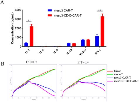 [pdf] Chimeric Antigen Receptor T Cells Engineered To Secrete Cd40 Agonist Antibodies Enhance
