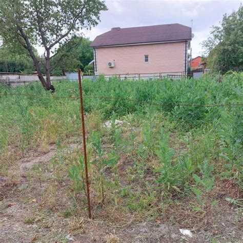 Участок 6 1 сот сельхоз снт или днп купить в Ростове на Дону цена 3 400 000 руб дата