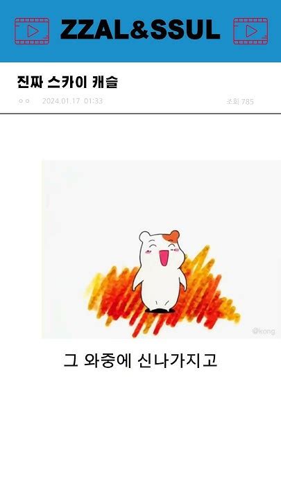 진짜 스카이캐슬 Youtube