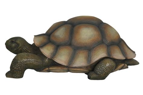 Turtle Jr R 026 Lifesize Models