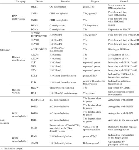 Silencing And Anti Silencing Factors Discussed In This Review