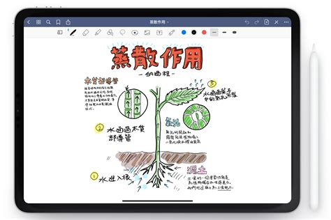 Ipad App Goodnotes Collanote Workworks
