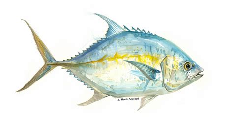 Pompano T L Morris Seafood