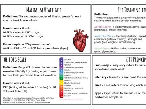 Revision Cards Principles And Methods Of Training Teaching Resources