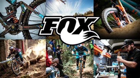 Fox Factory S Bike Division Records Double Digit Q Growth