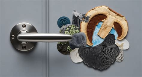 How Do Dandi Metrics Connect To Long Term Value Creation → Learn