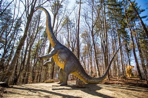 Diplodocus Dinoparc
