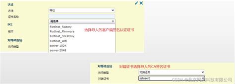 网测科技ipsec Vpn新建测试案例飞塔ipsec证书认证 Csdn博客