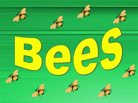 PPT Bees PowerPoint Presentation Free Download ID 4947871