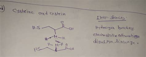 Solved 1 What Type Of Intermolecular Forces Exists Between The Side
