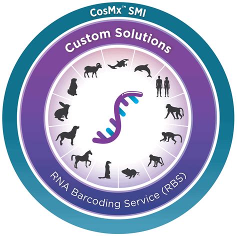 Cosmx™ Custom Rna Barcoding Service Rbs Nanostring