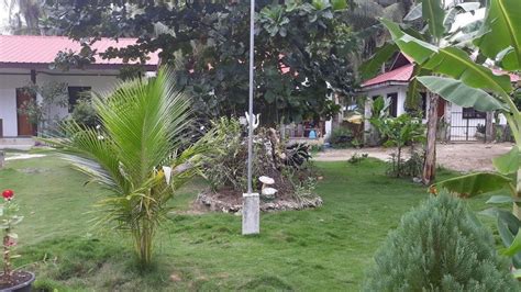 Gardenview Room 9 Siargao Island Philippines YouTube
