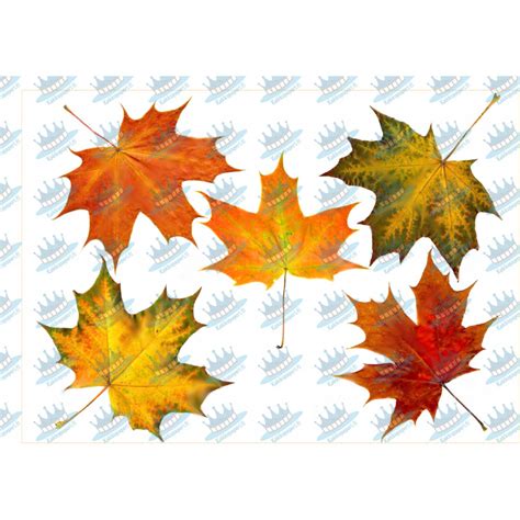 Leaf Edible Cake Topper