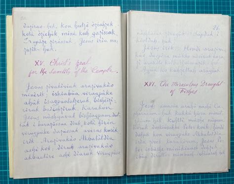 History Of The New Testiment And The Passion And Death Of Jesus Christ