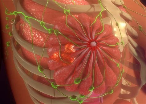 Eus Chmp Recommends Elacestrant Approval In Advanced Breast Cancer