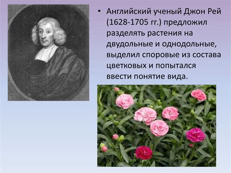 История развития представлений об эволюции презентация онлайн