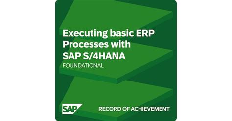Executing Basic Erp Processes With Sap S4hana Record Of Achievement Was Rania Akef