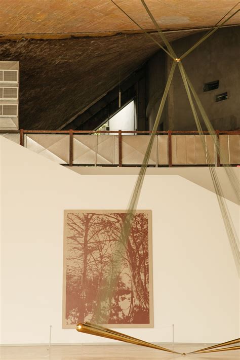 画廊 重见天日的时光印记，lago Algo 文化中心 Naso 17