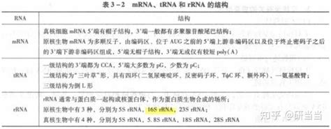 25重大生物学考研 Dna转录考点总结 知乎