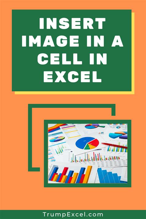 How To Insert A Text Box Into A Cell In Excel Design Talk