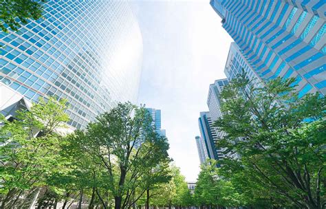 新着情報 川崎市宮前区で解体土木工事・木造建築・リフォーム・不動産買収は、マイ建設株式会社にご相談ください。