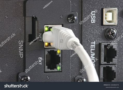 Connecting Ethernet Switch Using Patch Cords Stock Photo Shutterstock