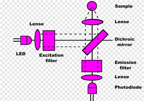 Filter Fluorometer Light Fluorescence Dichroic Filter Light Purple