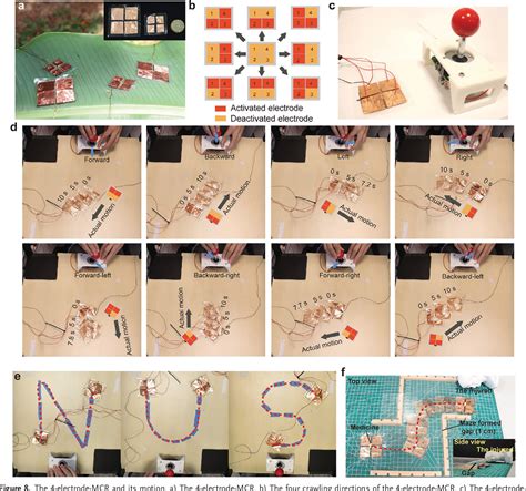 Figure 8 From An Amphibious Fully‐soft Centimeter‐scale Miniature