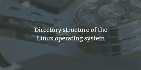 Directory Structure Of The Linux Operating System Explained Vitux