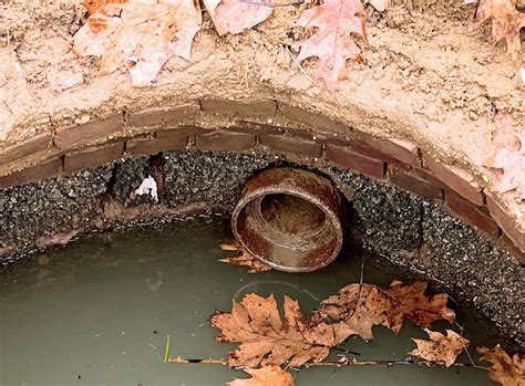 Veblen House Inside A Very Old Septic Tank At Veblen House