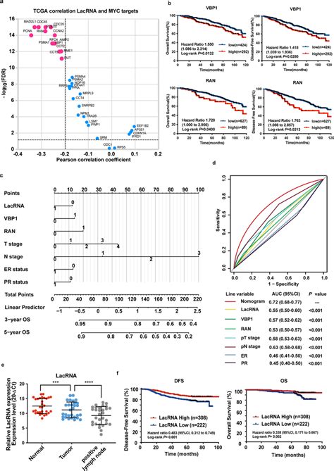 Lacrna Dependent C Myc Signaling Downregulation Correlates With